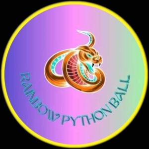 Rainbow Python Ball - MorphMarket