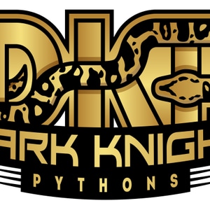 Dark Knight Pythons - MorphMarket