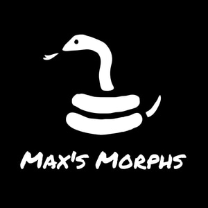 Max's Morphs - MorphMarket