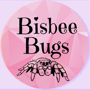 Bisbee Bugs - MorphMarket