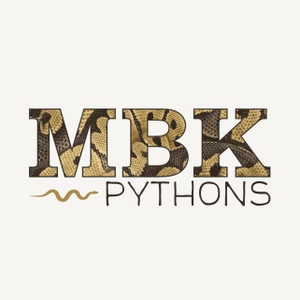 MBK_pythons - MorphMarket