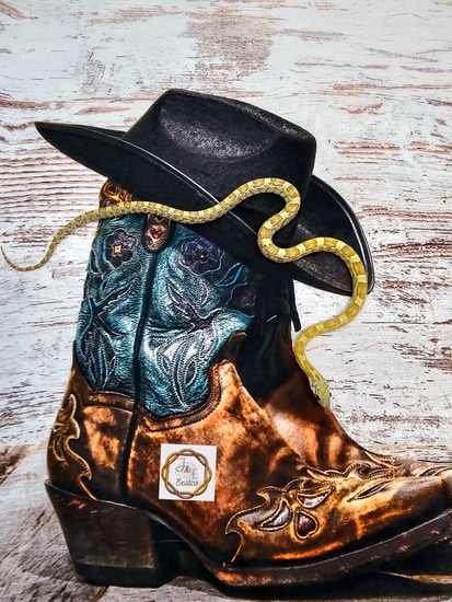 🛫 Free Shipping ♂️ Honey Corn Snake by J&E Exotics