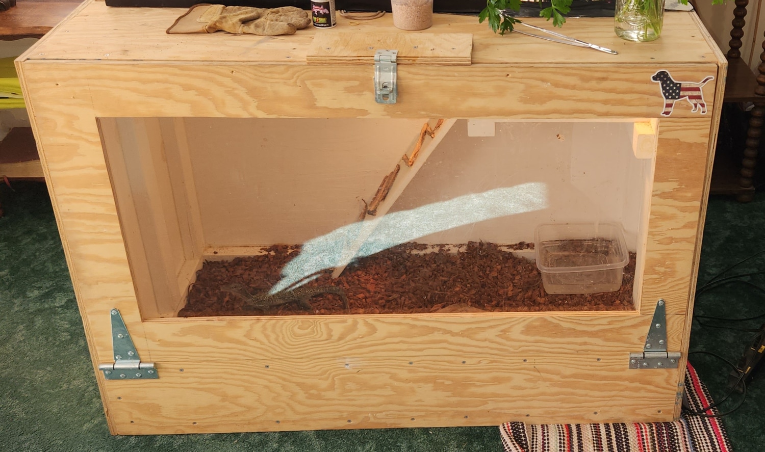 And Possible Enclosure ($100xtra) Mangrove Monitor by Malestroms ...
