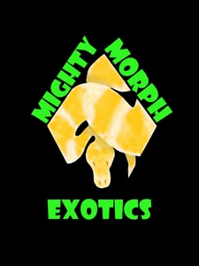 Mighty Morph Exotics - MorphMarket