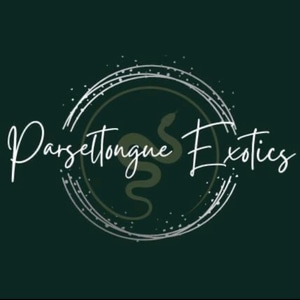 Parseltongue Exotics - MorphMarket