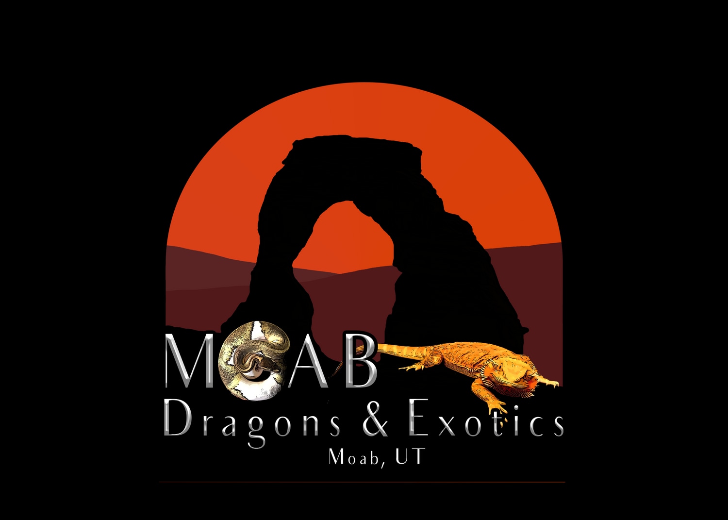 Central Bearded Dragon Clutch: 004-2 by Moab Dragons & Exotics - MorphMarket