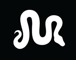 MorphMarket - MorphMarket