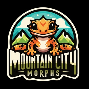 Mountain City Morphs - MorphMarket