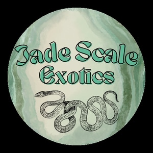 Jade Scale Exotics - MorphMarket