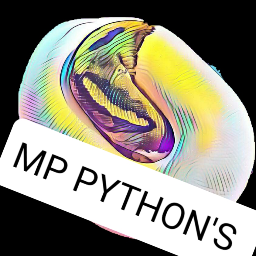 Ball Python Clutch: Pstpd(1) by Mp Pythons - MorphMarket