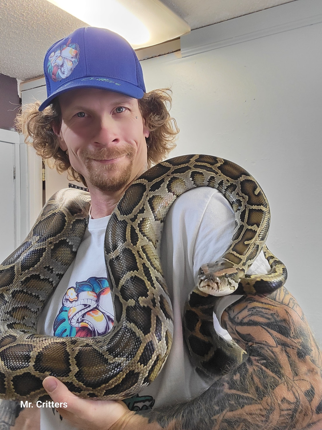 Naheka Burmese Python by Mr. Critters - MorphMarket