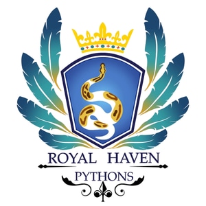 Royal Haven Pythons - MorphMarket