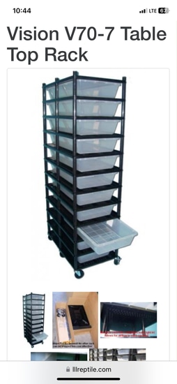 V70-7 Rack With Heat Cable, Rat Colony And 4 Male BPs Ball Python by ...