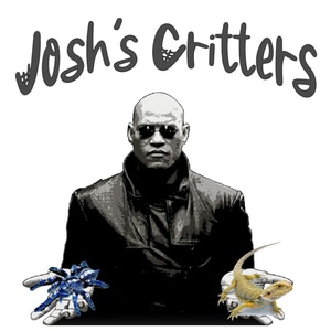 Josh's Critters - MorphMarket
