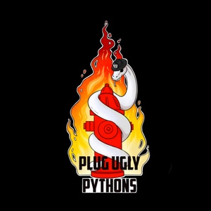 Banana Black Pastel Ball Python by Plug Ugly Pythons - MorphMarket