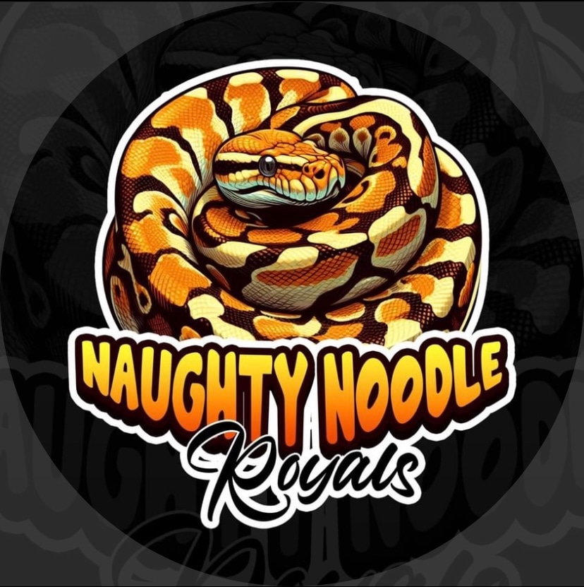 Naughty Noodle Royals's Collection - MorphMarket