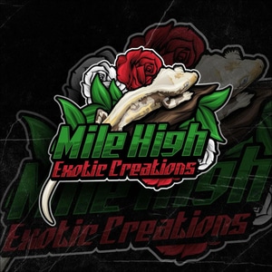 Mile High Exotic Creations - MorphMarket