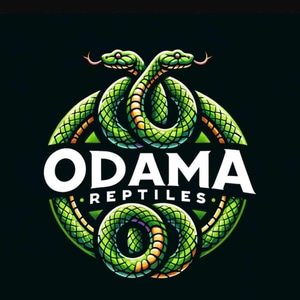 ODAMA Reptiles - MorphMarket