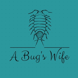 A Bug's Wife - MorphMarket