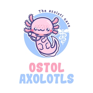 Ostol Axolotls - MorphMarket