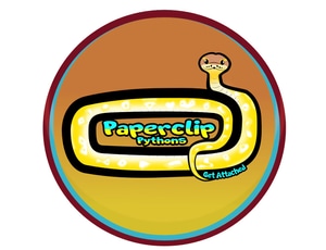 Paperclip Pythons - MorphMarket