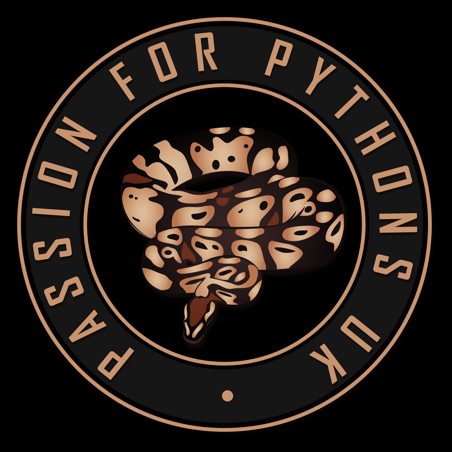Passion for Pythons UK's Collection - MorphMarket