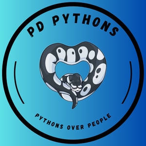PD Pythons - MorphMarket