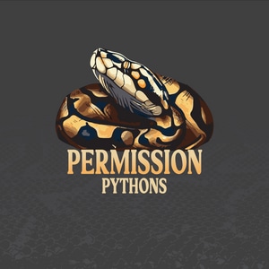 Permission Pythons - MorphMarket