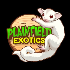 Plainfield Exotics - MorphMarket