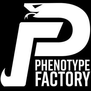 Phenotype factory - MorphMarket