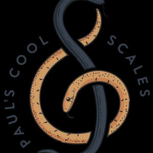 Paul's Cool Scales - MorphMarket