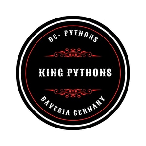 DC Pythons - MorphMarket