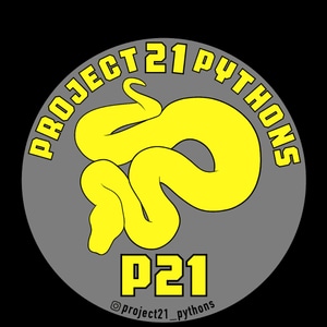 Project 21 Pythons - MorphMarket