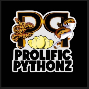 ProlificPythonz LLC - MorphMarket