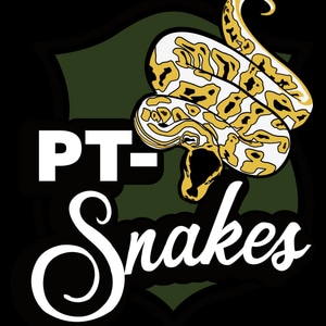PT-Snakes - MorphMarket