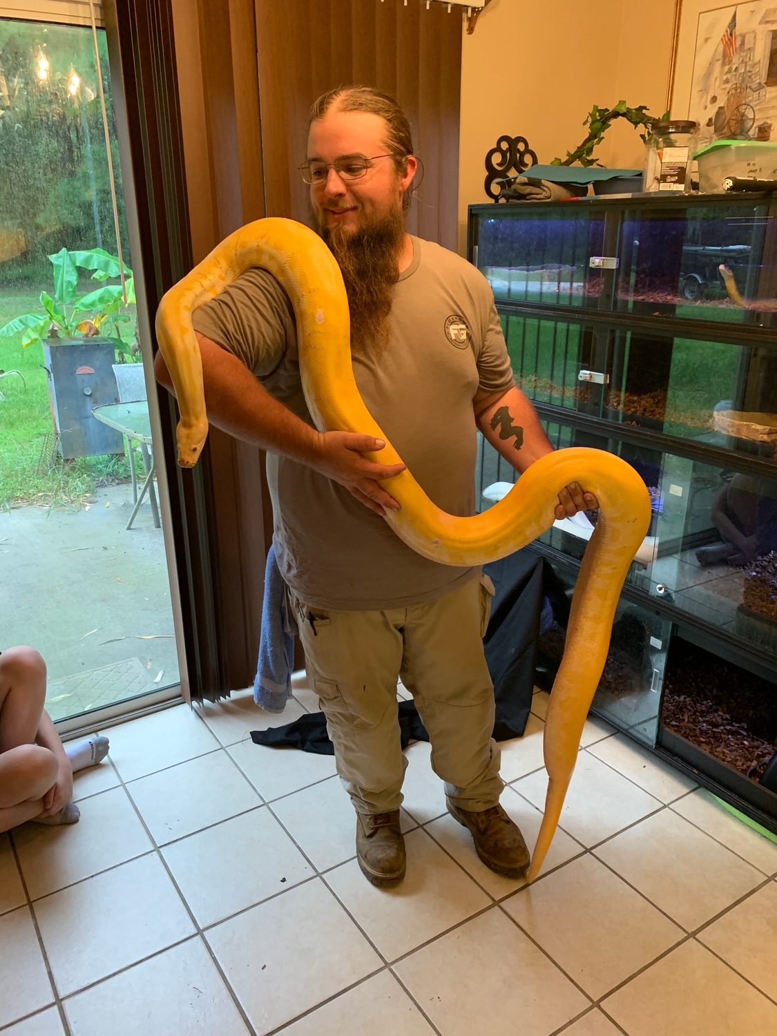 Albino Green Burmese Python by Snake Papa Exotics LLC - MorphMarket