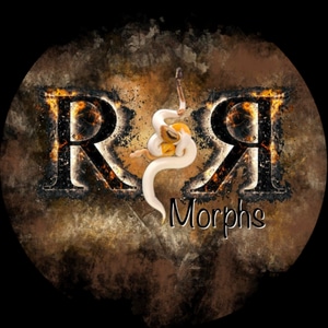 R&r Morph's - MorphMarket