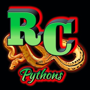 R & C Pythons - MorphMarket