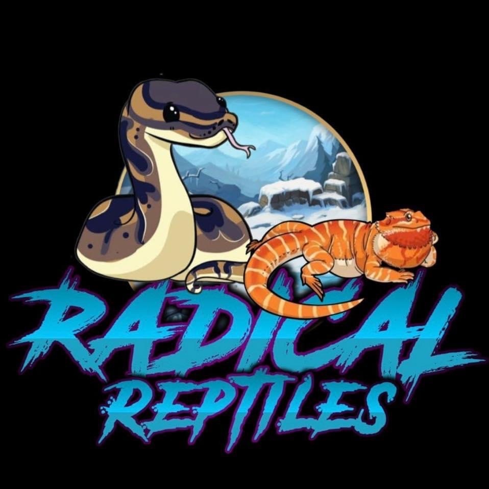 Radical Reptiles's Collection - MorphMarket