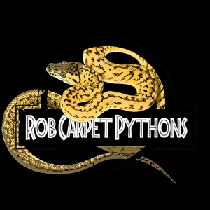 Rob carpet pythons - MorphMarket