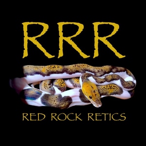 Red Rock Retics - MorphMarket