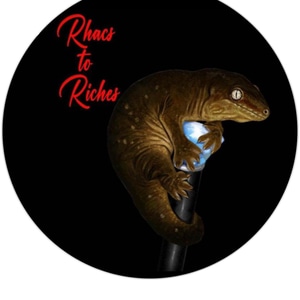 Rhacs to Riches - MorphMarket