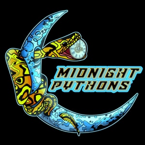 Midnight Pythons - MorphMarket