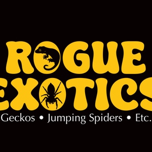 Rogue Exotics - MorphMarket