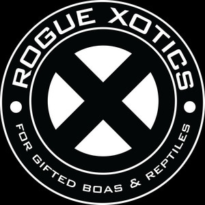 Rogue Xotics - MorphMarket
