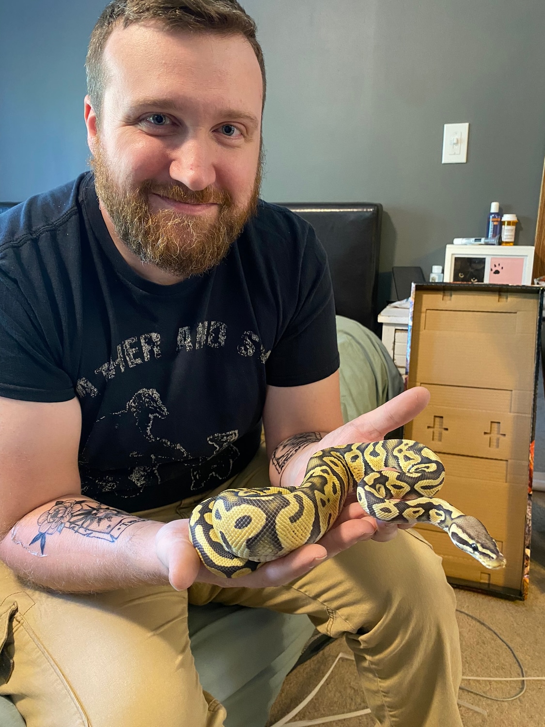 Hypo Pastel 50% Het DG Ball Python by Ashley’s Snakes and More ...