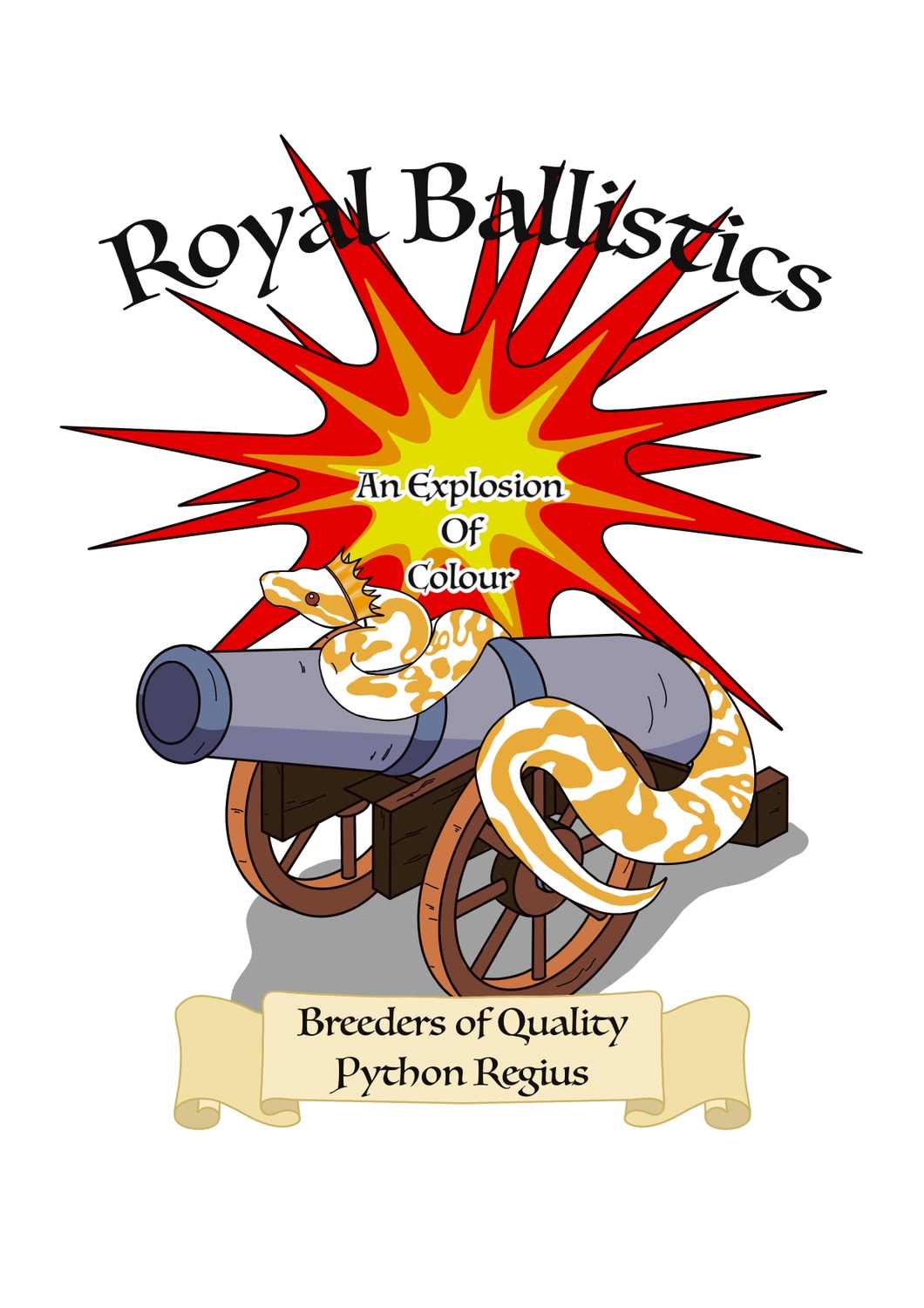 Ball Python Clutch: HPF1 and HPM1 by Royal ballistics - MorphMarket