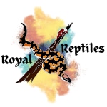 Royal X Reptiles - MorphMarket