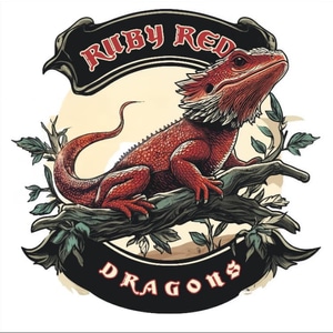 Ruby Red Dragons - MorphMarket