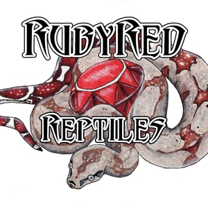 Ruby Red Reptiles - MorphMarket